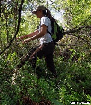 Botanic gardens 'play role in invasive species spread' - BBC News