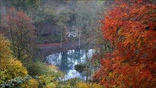 Hackfall woods wins Europa Nostra conservation award - BBC News