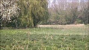 Groby villagers buy 'traveller land' - BBC News