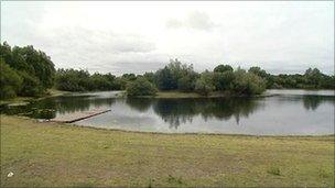 Toxins 'blamed' for Scarborough dogs-poisoning - BBC News