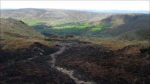 Wildfire threat in Peak District, says Peak Park Authority - BBC News