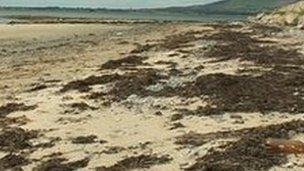 Body is discovered on Cranfield beach in County Down - BBC News