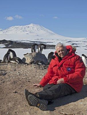 A Point of View: Climate change and craving a cause - BBC News