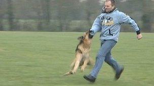 Kent Police seeks German shepherd recruits - BBC News