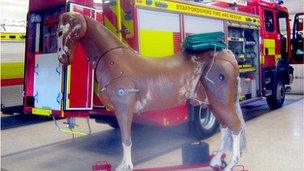New fire engine in Staffordshire Moorlands for animal rescue - BBC News