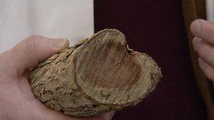 Strathclyde University scientists end marabu weed nightmare - BBC News