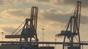 Plans for Hull biomass energy plant unveiled - BBC News