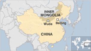 'Chinese Pompeii' 300m-year-old forest preserved in ash - BBC News