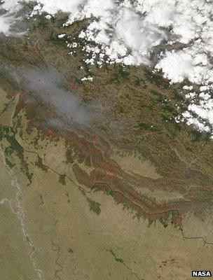 Nepal forest fires 'cause big wildlife loss' - BBC News