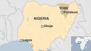 Nigeria's Potiskum cattle market raid 'kills dozens' - BBC News