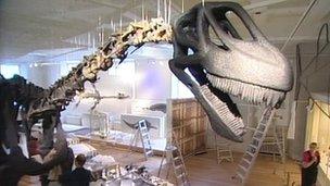 Leicester New Walk Museum attracts record visitors - BBC News