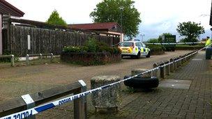 Harlow man arrested after woman dies of knife wounds - BBC News