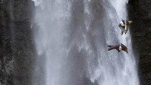 Sherlock Holmes and his fight to the death - BBC News