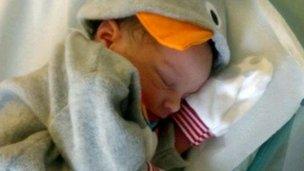 Harry Harper dog maul death: Baby died from head injury - BBC News