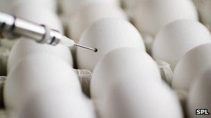 How the seasonal flu jab is made - BBC News