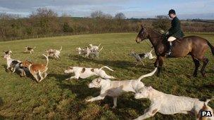 Heythrop Hunt members admit illegal fox hunting - BBC News
