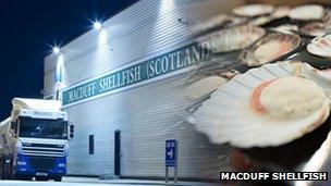 Macduff Shellfish buys Dumfries firm Scott Trawlers - BBC News