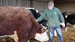 Market Drayton butter factory 'to create 100 jobs' - BBC News