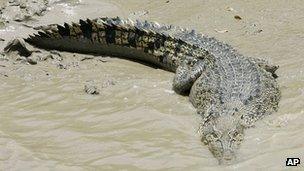 Monsters Inc: Scottish lochs and their creatures - BBC News