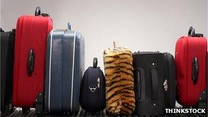 Gatwick Airport handling fault grounds 3,000 bags - BBC News