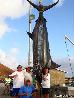 Coltishall pub landlord reels in 'monster' blue marlin - BBC News