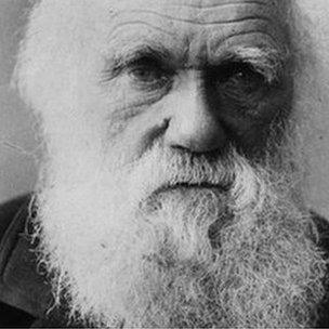 Why such a fuss about extinction? - BBC News