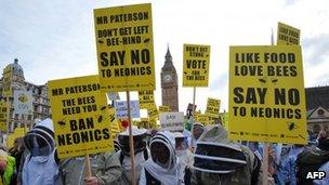 Beekeeper protest calls for pesticide ban - BBC News
