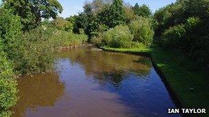 Waste oil dumped in Savick Brook, Fulwood - BBC News