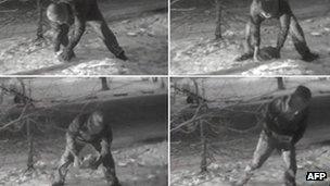 Spy game: A familiar tale continues - BBC News