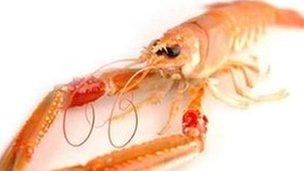 Macduff Shellfish deal could secure Stornoway jobs - BBC News