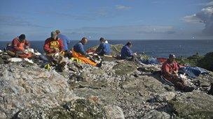 Gaga for guga: Ten things on Scottish island delicacy - BBC News