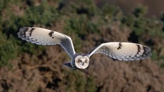 Your pictures of Scotland: 19-26 November - BBC News