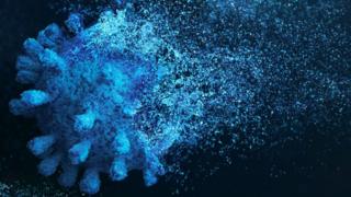 Million-year-old viruses help fight cancer, say scientists - BBC News