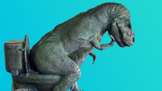 Poo museum: New Poozeum opens to display ancient poo fossils - BBC ...