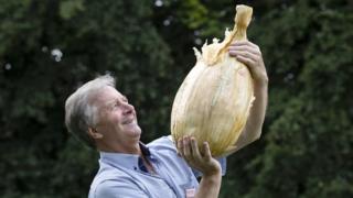 Huge vegetables: 9kg onion and other record-breaking giant veg - BBC ...