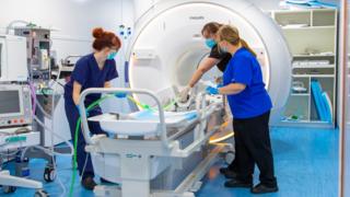 Penguin becomes first to undergo MRI scan in Somerset - BBC News