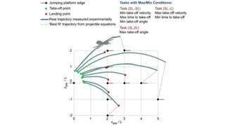 How a spider jumps on its prey - science has the answer - BBC News