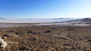 The slow and deadly dzud in Mongolia - BBC News