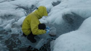 Climate change: Rain melting Greenland ice sheet 'even in winter' - BBC ...