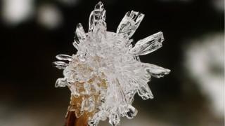 Highlands photographer's humorous finds in snow and ice - BBC News