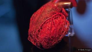 دنیا کی مختلف ثقافتیں ہمیں بوریت کے بارے میں کیا سکھاتی ہیں؟ - BBC News ...