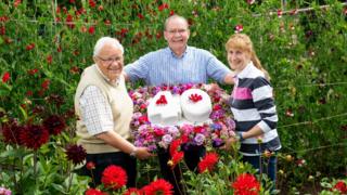 Beechgrove Garden presenter Jim McColl retires after 40 years - BBC News
