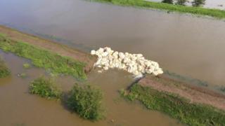 Wainfleet flooding: More homes evacuated - BBC News