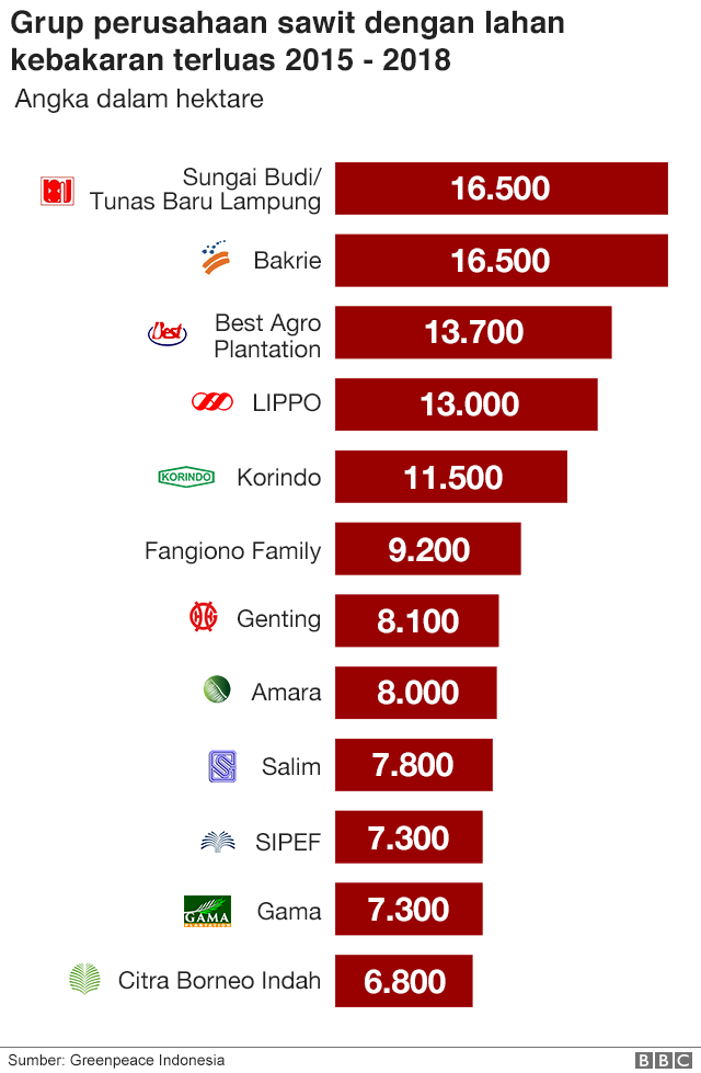Kebakaran hutan: Sejumlah perusahaan di balik karhutla 2015-2018 lolos dari sanksi serius - BBC ...