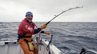 Giant 900lb tuna biggest fish caught in Welsh waters - BBC News