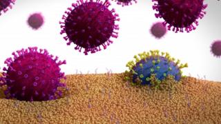 Omicron: How do I know if I have it? - BBC News