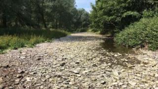 UK heatwave: Photos show dramatic impact on River Teme - BBC News