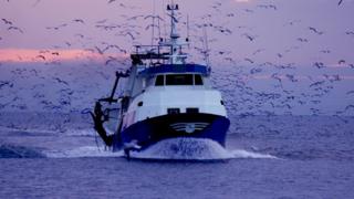 North Sea cod stocks fall to 'critical' level says Ices report - BBC News