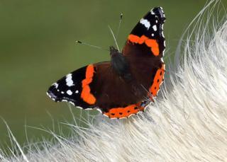 Your pictures of Scotland: 7 - 14 October - BBC News