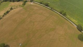 New Forest Stone Age nutshell 'reveals prehistoric campsite' - BBC News